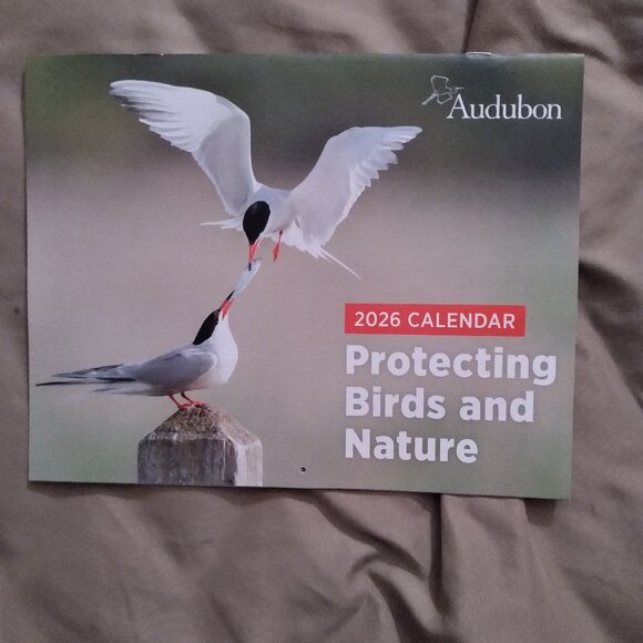 Office | Calendar Protecting Birds And Nature 226 | Poshmark